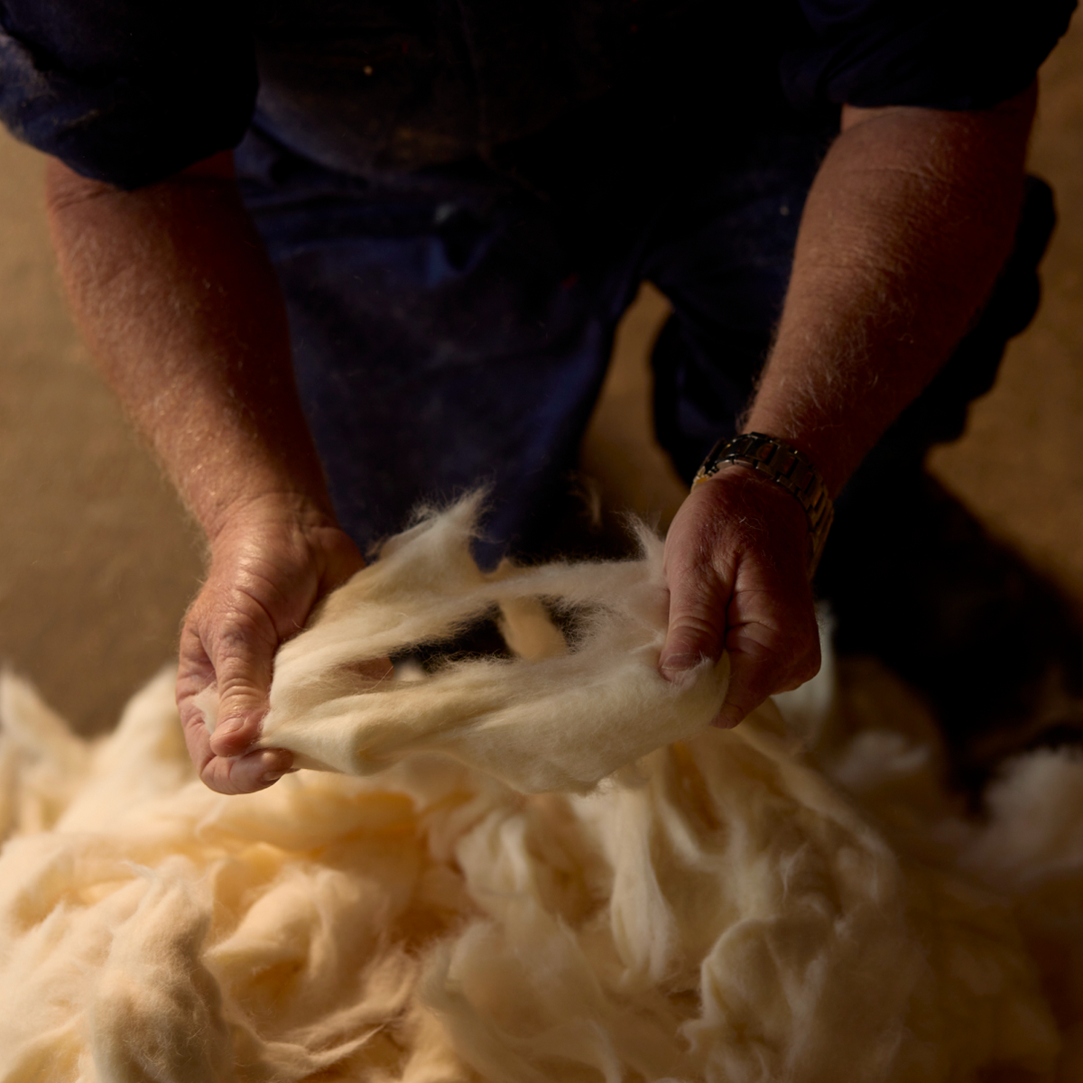Akubra Hats - Tablelands - Sorrel Tan