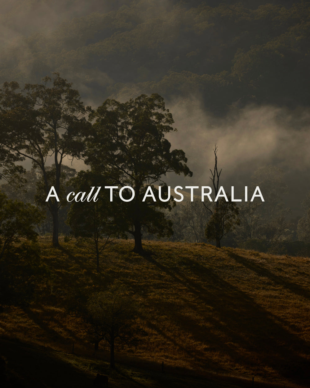 Akubra Cattleman Hats – Classic Outback